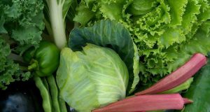 Crop Planning 101: How To Make A Crop Plan (Simplified) | Micro Farm Guide