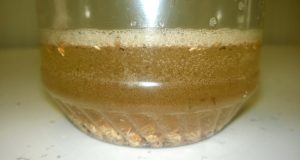 How To Make Water-Soluble Calcium (Step-By-Step User Guide) | Micro ...