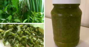 What Is Shadow Benny? The Real Reason Behind The Confusion | Micro Farm ...