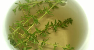 Thymus Vulgaris: Little Known Benefits Of Fine Leaf Thyme – Micro Farm ...