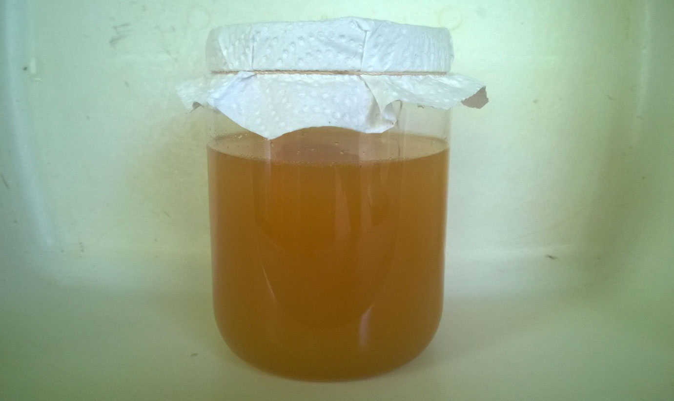 How To Make Vinegar At Home In 7 Easy Steps (With Pictures) | Micro ...