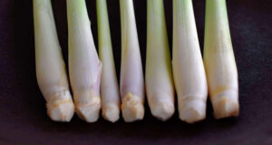 Can Humans Eat Grass? | Micro Farm Guide