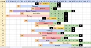 Crop Planning 101: How To Make A Crop Plan (Simplified) | Micro Farm Guide
