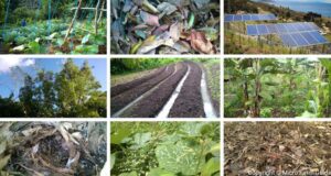 10 Essential Sustainable Farming Practices For Beginners | Micro Farm Guide
